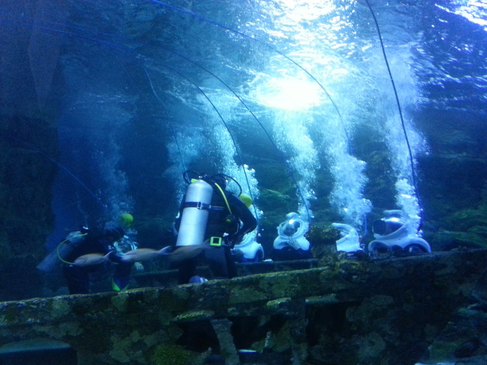 Art & Marie go to Micronesia & Guam: Underwater World Guam