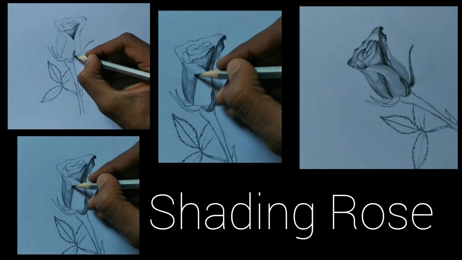 Artofrohit.com: How to draw Rose - with pencil - step by step tutorial