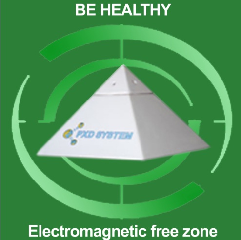 PXD SYSTEM INTERNATIONAL: "ACCIDENTALLY" IN PXD ARRANGEMENT