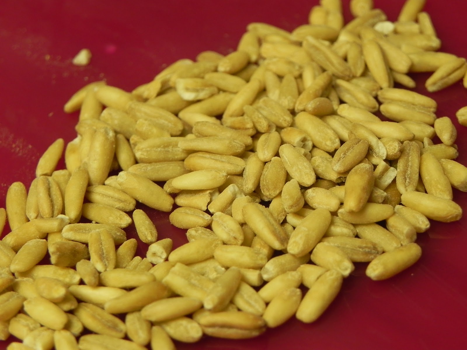 Flexitarian Writer: Oat Groats, a hot cereal