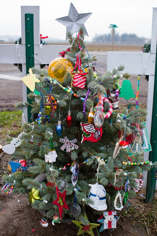 Teresa Hunt Photography: Memorial Christmas Tree