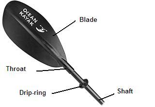 Kayak: PENGENALAN ASAS REKREASI KAYAK DAN SUKAN ORIENTEERING