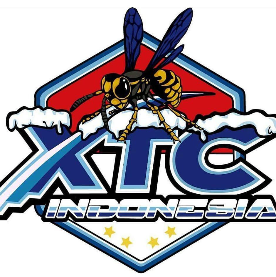 66+ Gambar Keren Lebah Xtc