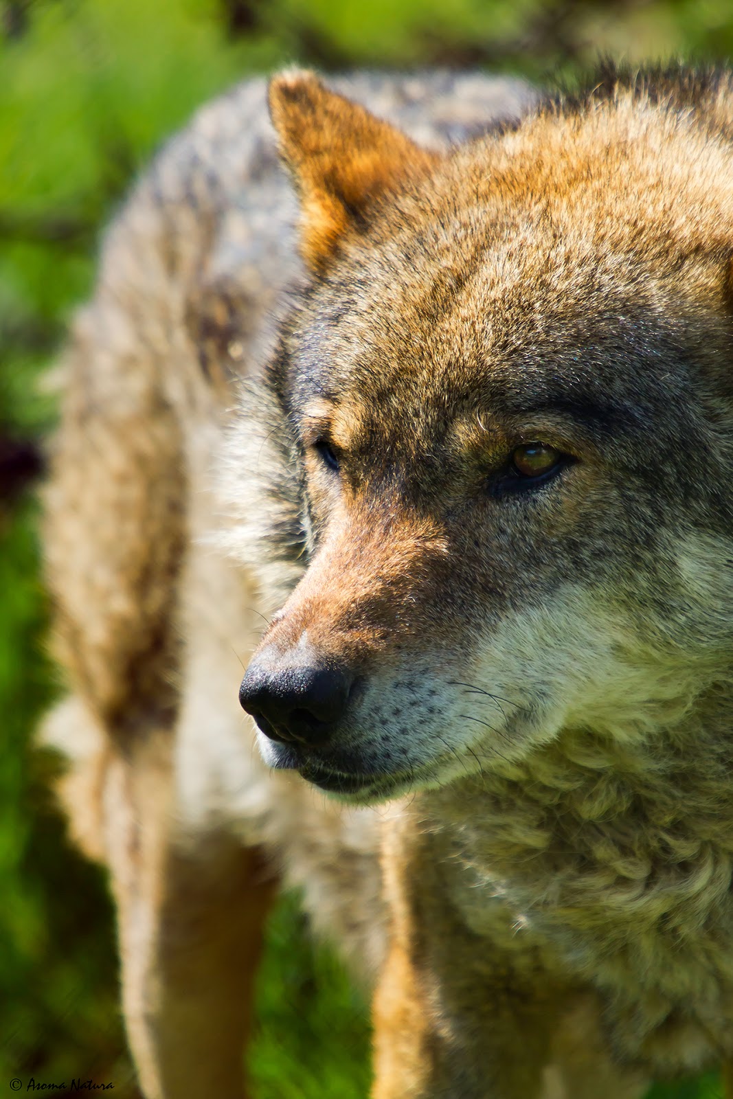 Lienzo tierra: Emlobados 2014