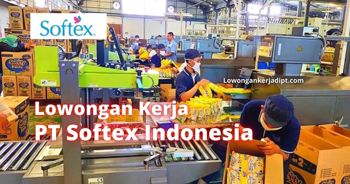 Lowongan Kerja PT Softex Indonesia Terbaru 2022 - Lowongankerjadipt.com
