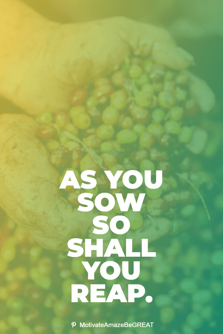 47 Wise Old Sayings And Proverbs To Succeed Today