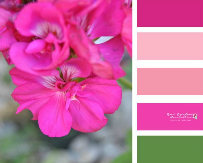 Paleta de colores / Roxi Ameduri Marchettini