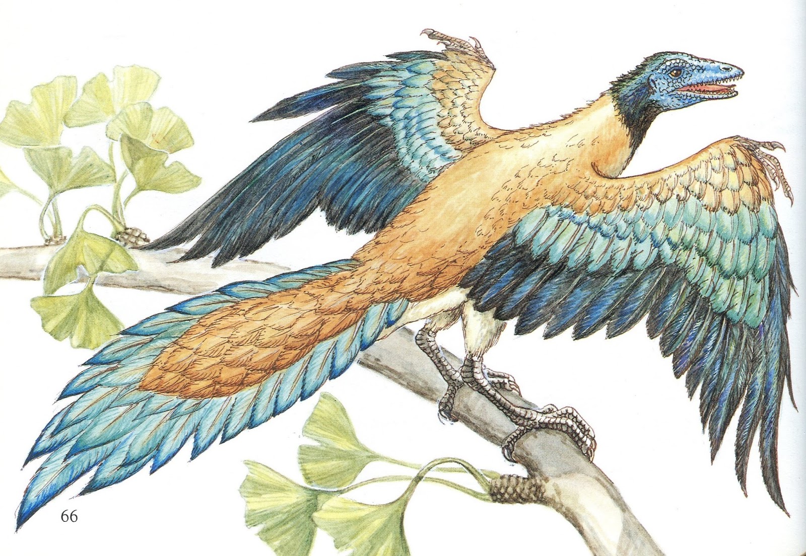 Stuckasaurus: Vintage Creationist Dinosaur Art: Dinosaurs by Design Pt. 1