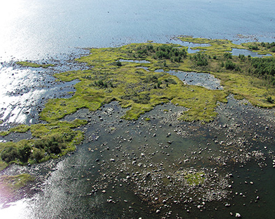 NephiCode: Rising Lands Around the Globe