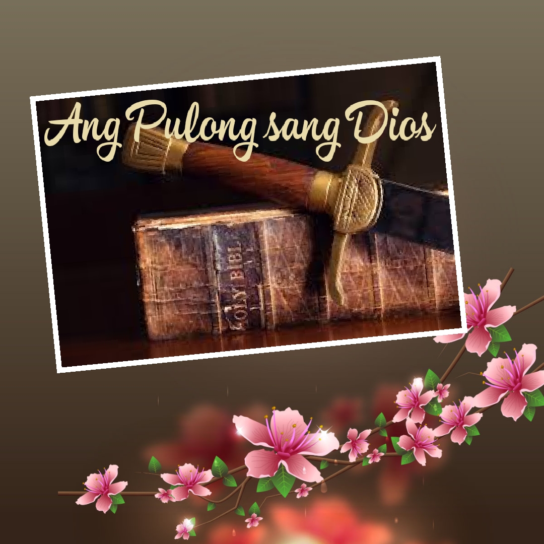 Ang Pulong Sang Dios: Ang Iloy kag mga Utod ni Jesus Ang Pulong Sang Dios: Ang Iloy kag mga Utod ni Jesus
