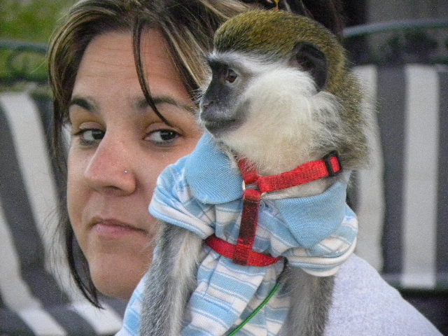 A little more than the Brady Bunch