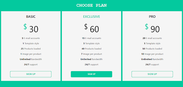 HTML Responsive flex template, create plan chooser using HTML and CSS