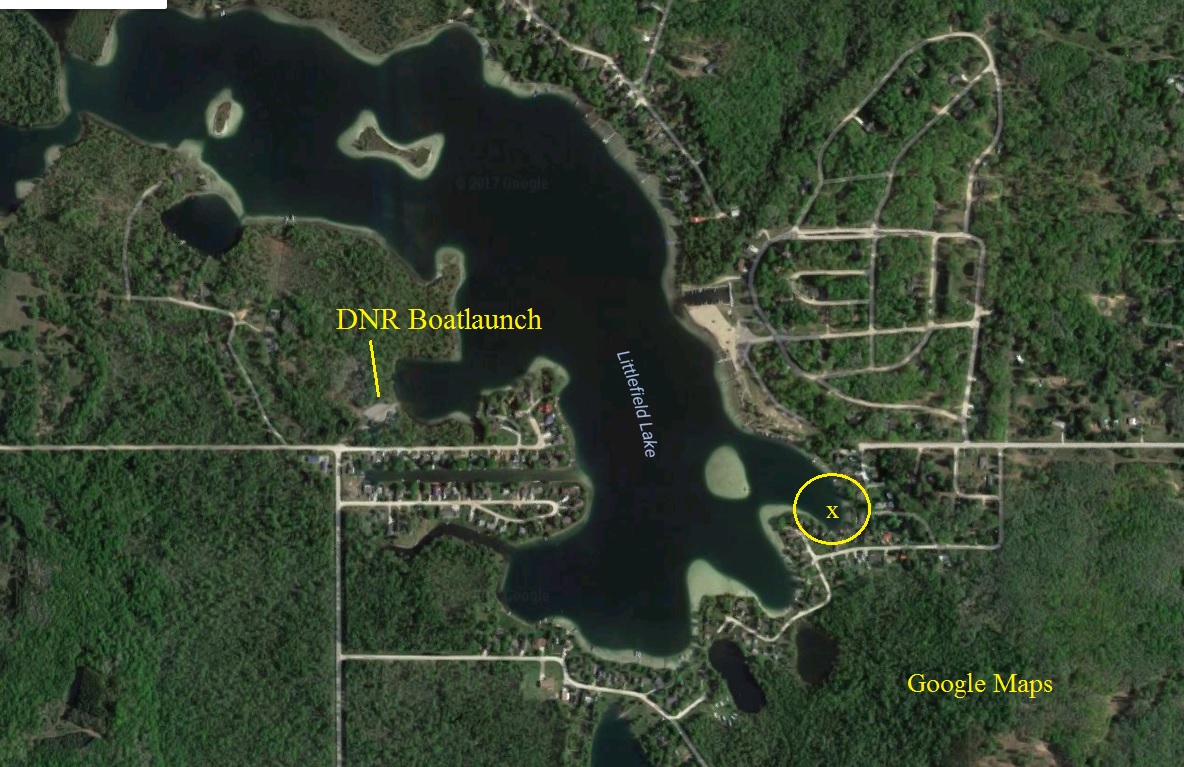 Mostly Birds (but not always): Couldn't Be More Pacific 6/8/2017