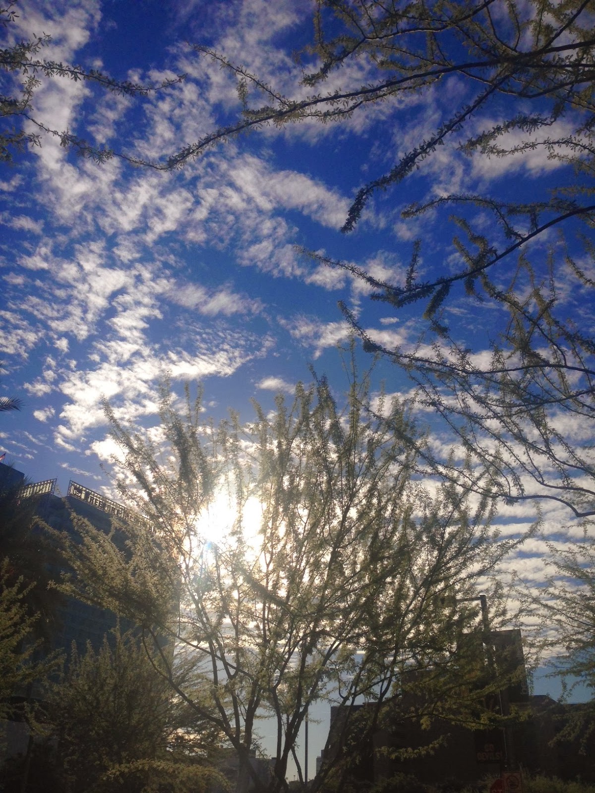 Fall in the desert