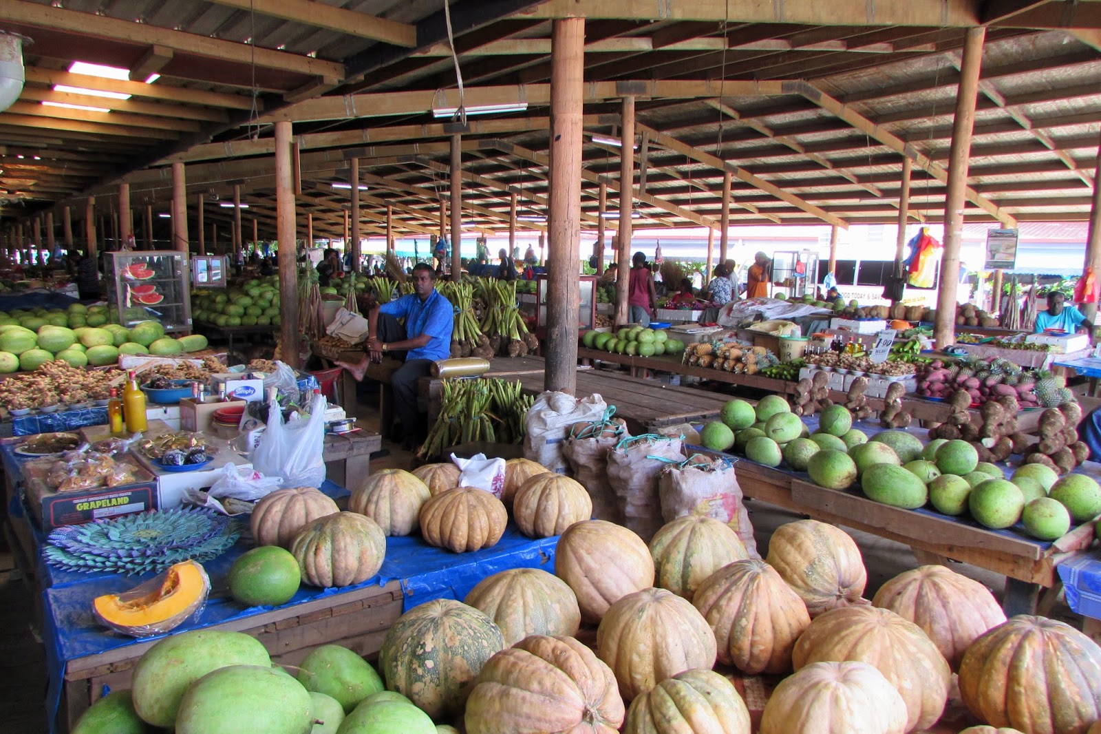 To Travel is to Live: Fiji