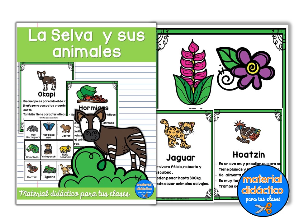 Los animales de la Selva - Material Didactico para tus clases