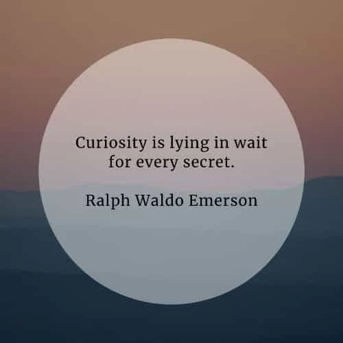 60 Curiosity quotes that'll help you achieve great things