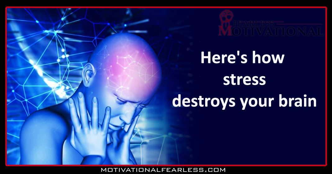 Stress is dangerous for your brain: how to manage it effectively ...