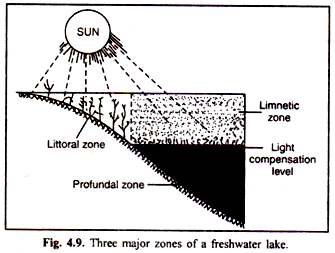Merlins Micro World: Freshwater Environments