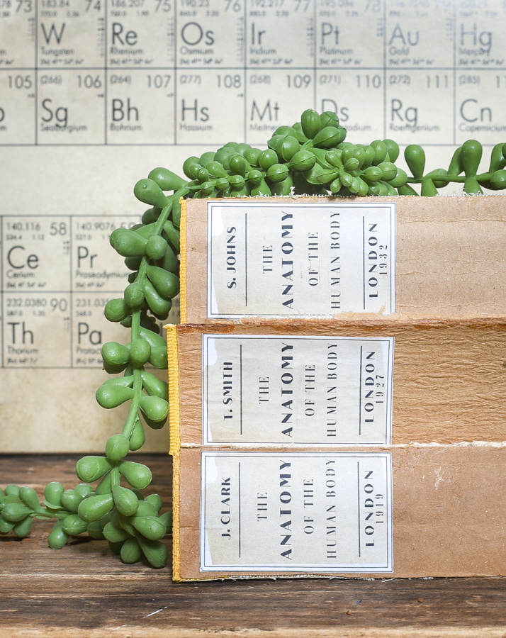 Free Printable: Vintage-Inspired Anatomy Book Labels | Little House of ...