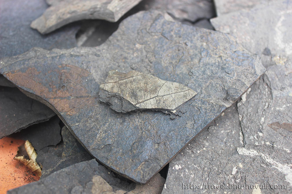 Welterbe Grube Messel - Messel Pit Fossil Site (Hessen - Germany) | My ...