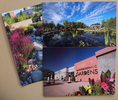 Mail Adventures: Botanical Gardens on Postcards