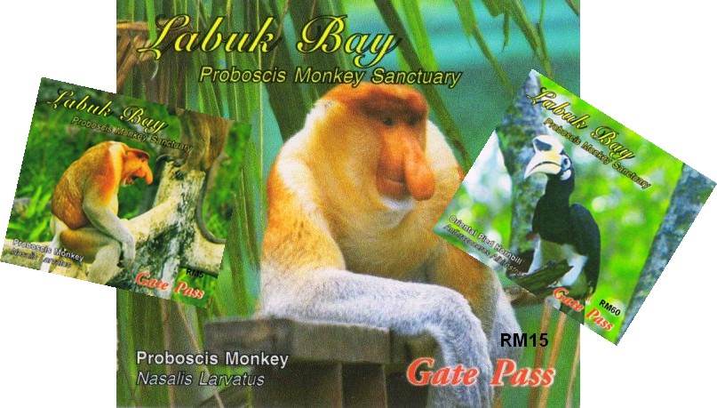 Sandakan - The Nature City: Labuk Bay Proboscis Monkey Sanctuary