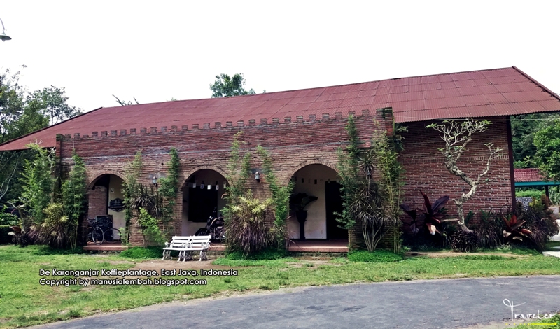 De Karanganjar Koffieplantage, Tempat 'Ngopi' Unik Anti Mainstream ...