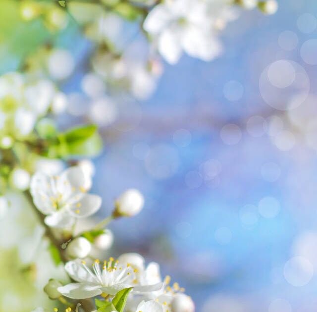 Top 10 Trending Springtime Wallpaper for iPhone and Background on ...