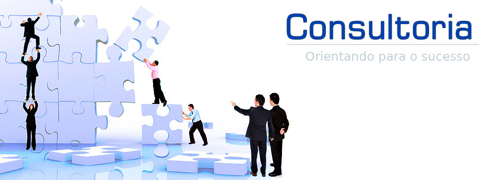 Flexototal: Afinal o que é consultoria?