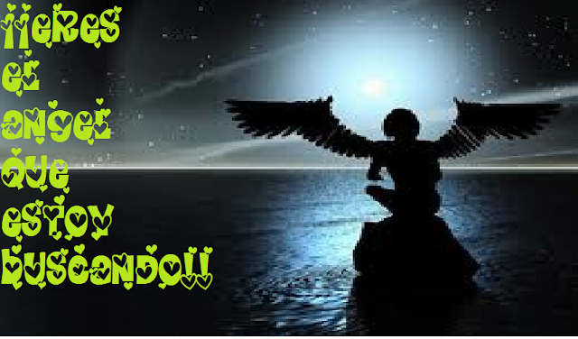 POR SIEMPRE SERÉ TU POETA : ERES EL ÁNGEL QUE ESTOY BUSCANDO