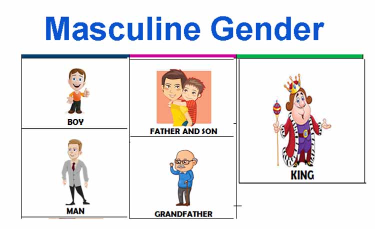 Masculine Gender (পুংলিঙ্গ) কাকে বলে উদাহরণ সহ লিখ - English Grammar A To Z