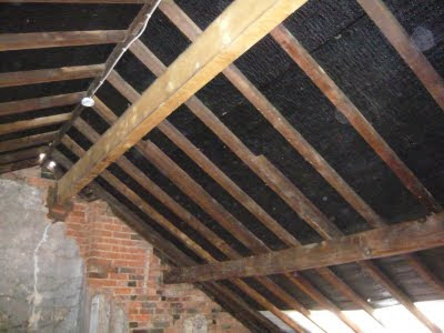 Sawdust In My Socks: Adding a Purlin to a Roof