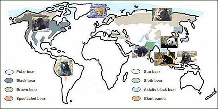 Abe's Animals: Range map for each bear species