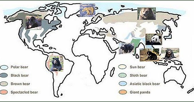 Abe's Animals: Range map for each bear species