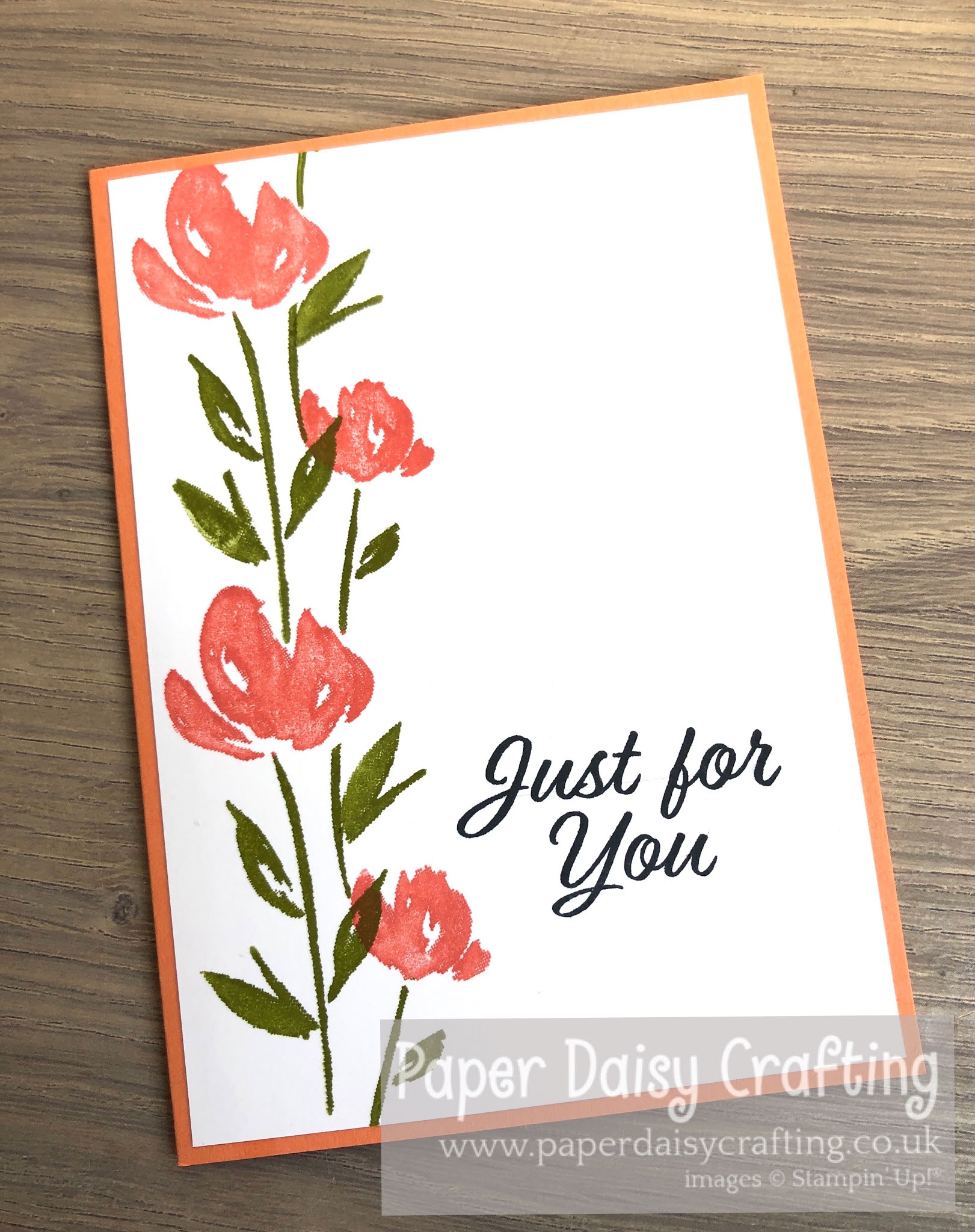 Paper Daisy Crafting: Three Cards with the Suite Sampler Stamp set