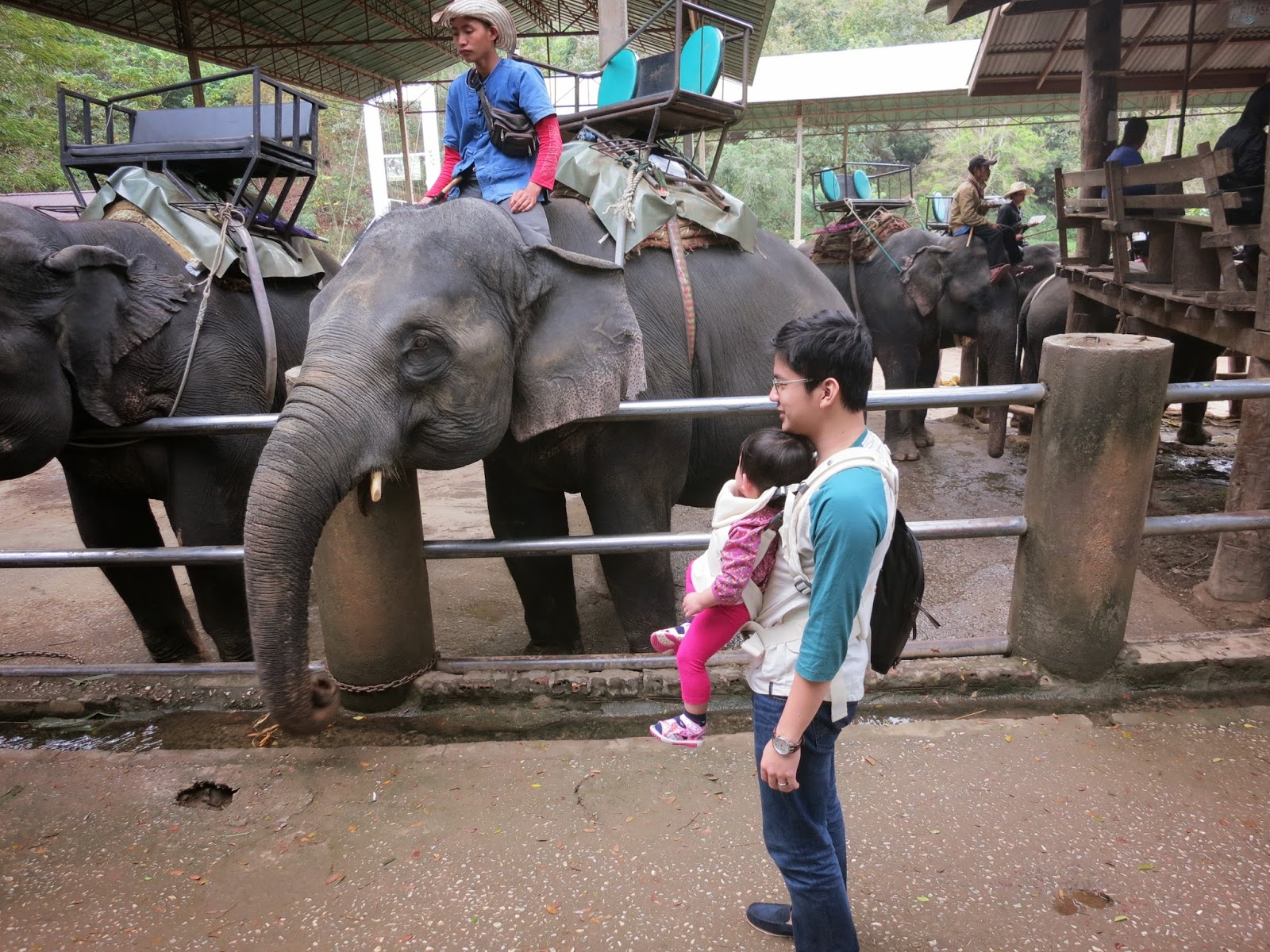 Maria Elena: Chiang Mai experience