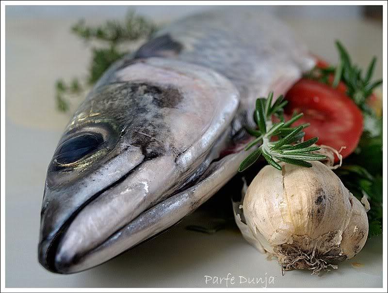 Parfe Dunja: Riba iz papira