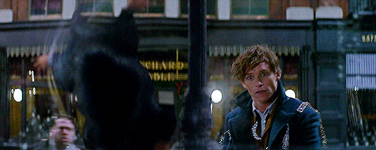 Addicted to Eddie: New FBAWTFT still released on Pottermore last week ...