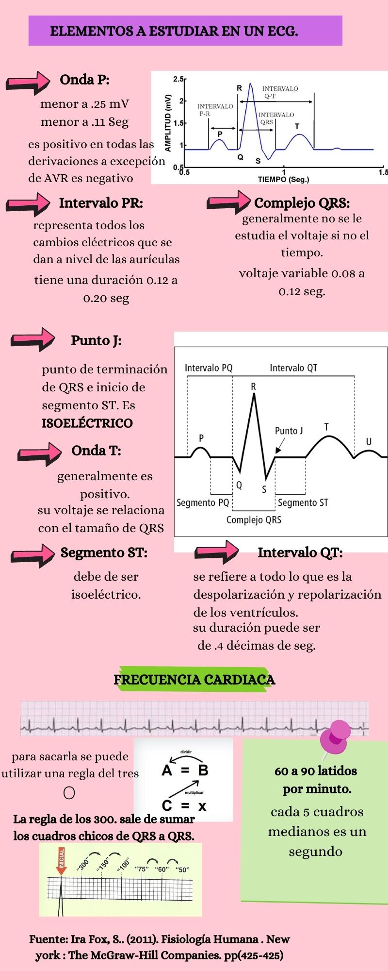Electrocardiograma interpretación de sus elementos