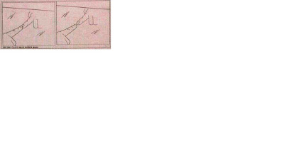 Welcome to Nelson Chima's Blog: Mirror Test: Ladies take note; A mirror ...