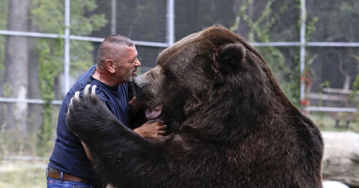 Oso impresionante | Historias increibles