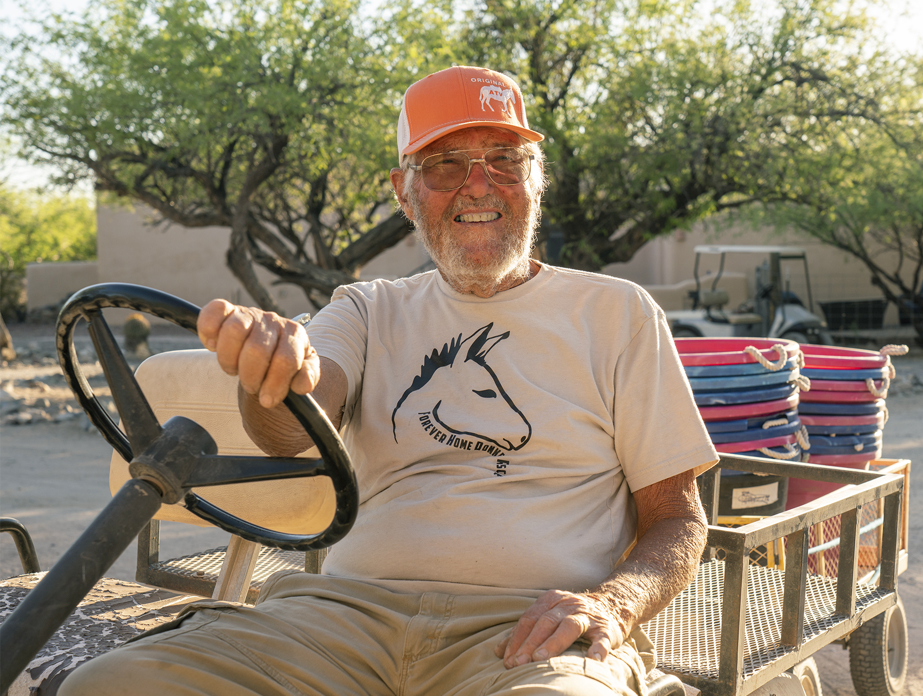 Forever Home Donkey Rescue: WHAT DO DONKEYS DO WHEN THEY ARE BORED?