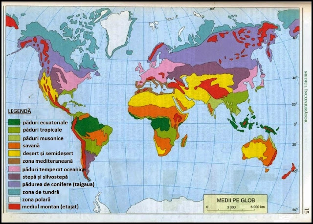 GEOGRAPHICA : CLASA IX - BIOSFERA SI ORGANIZAREA EI