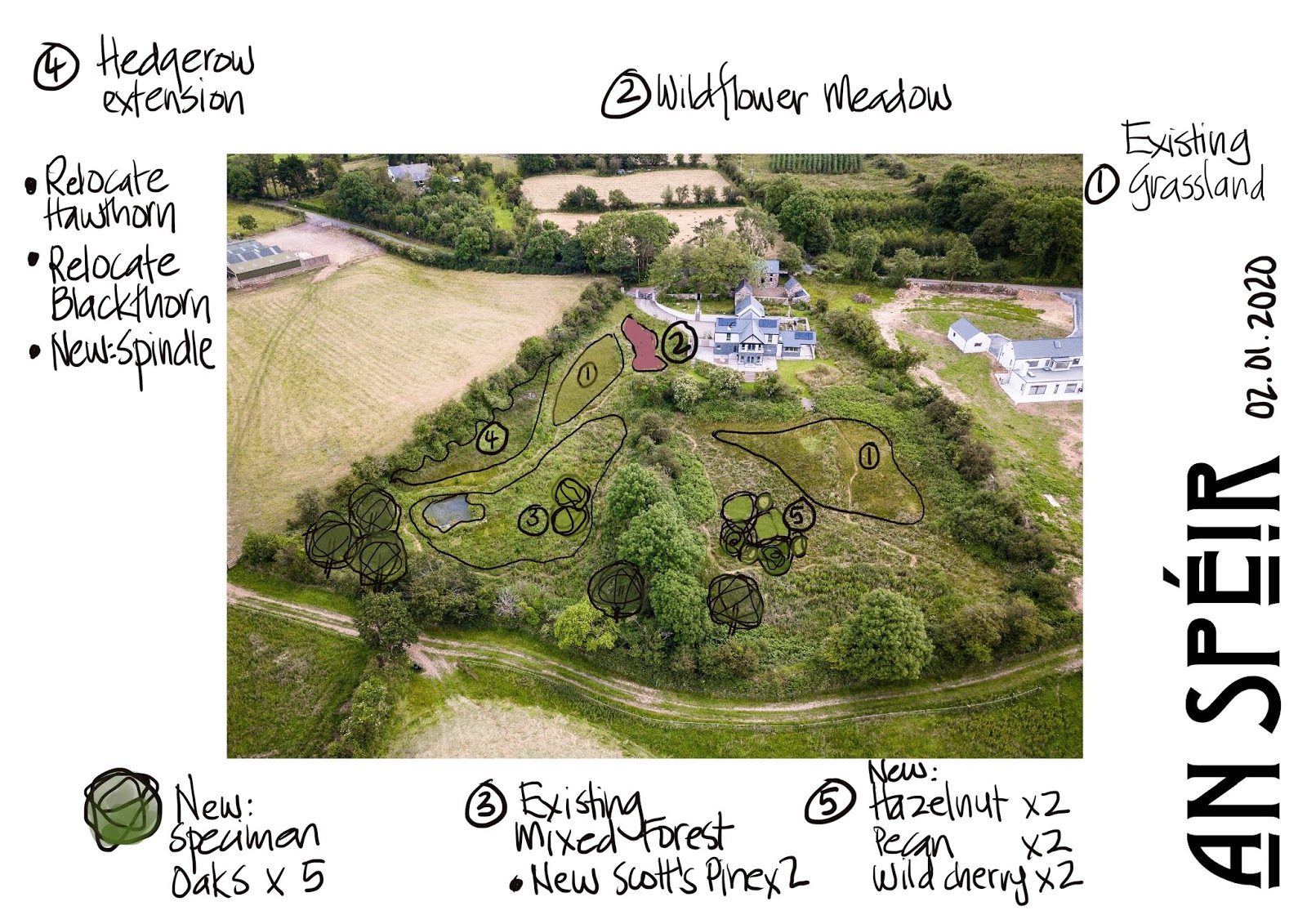 Jennie Castle Architecture