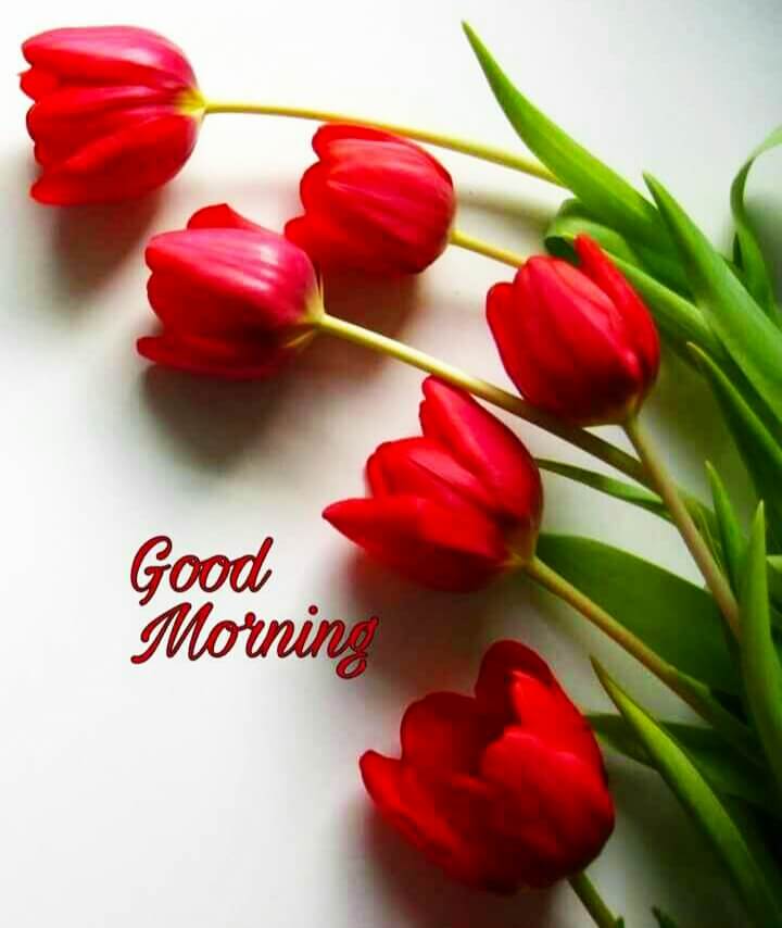 Best 35+ Good Morning Images For Facebook || Good Morning Images For ...