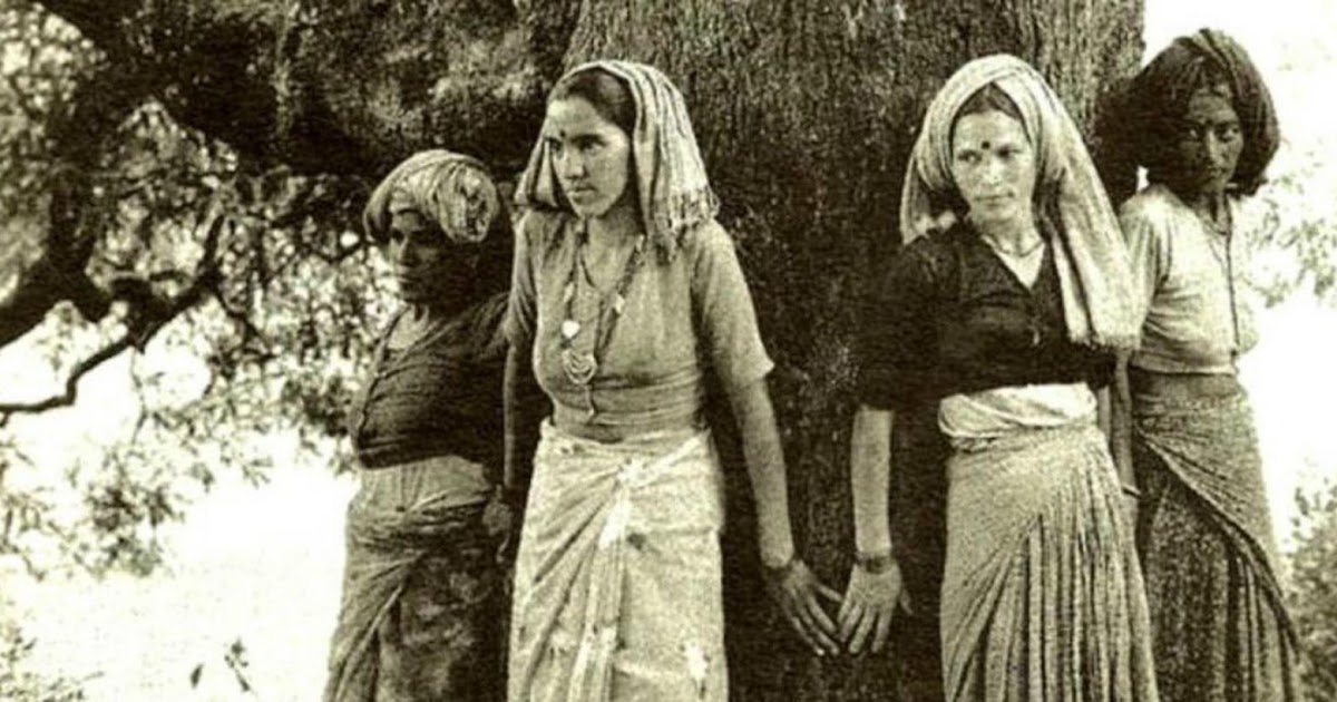 Chipko movement
