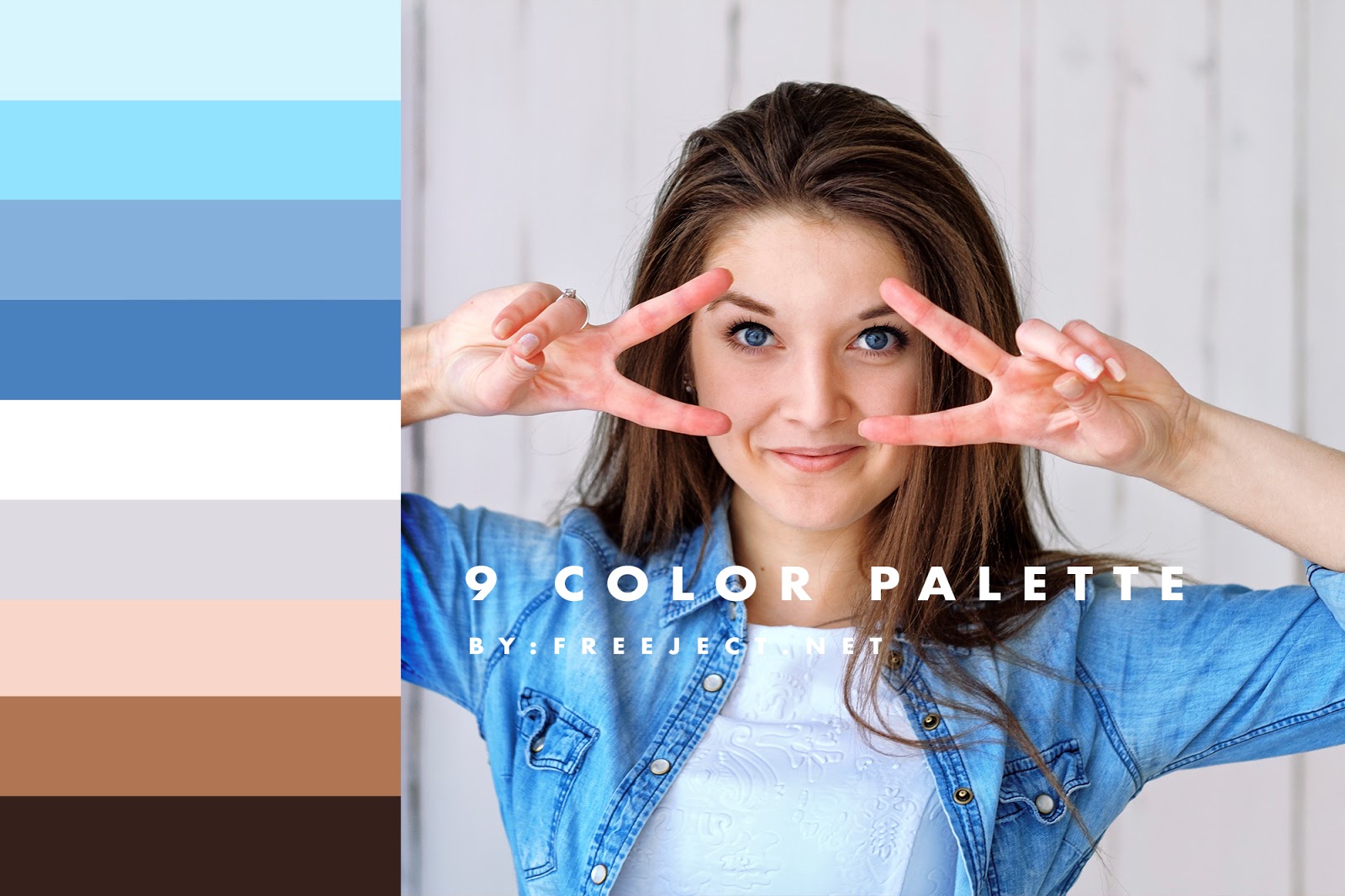 Color Palette PNG - 9 Color Combinations