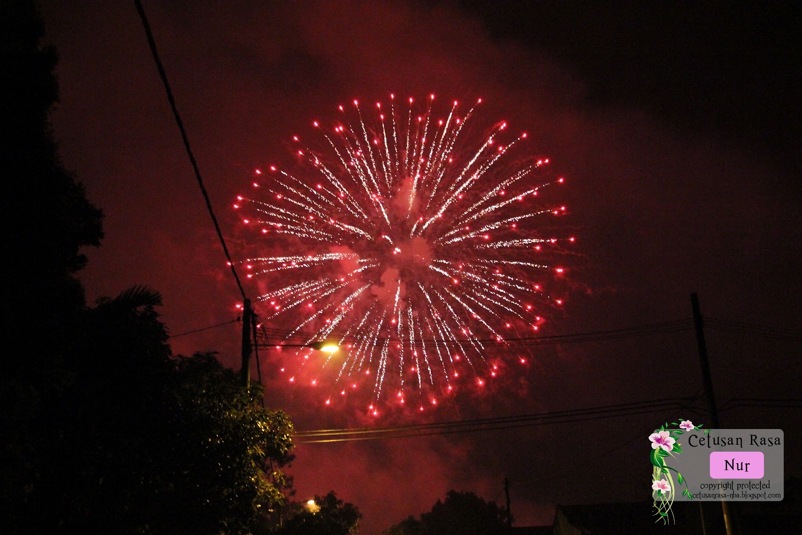 Cetusan Rasa: Percikan Bunga Api