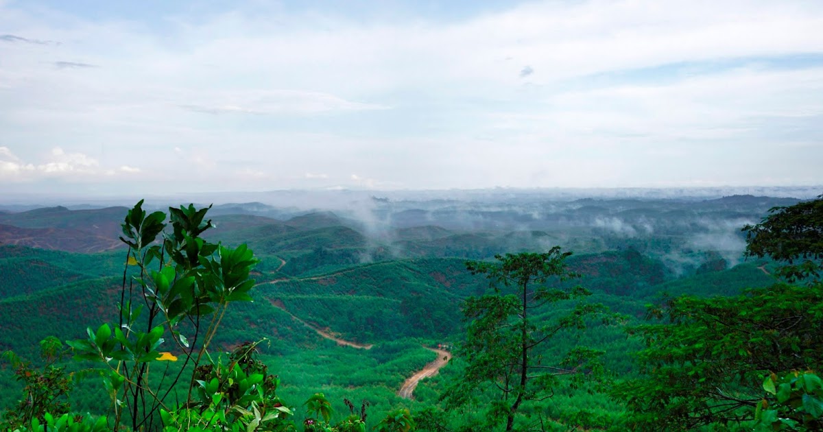 IPPKH berganti Persetujuan Penggunaan Kawasan Hutan - IPPKH